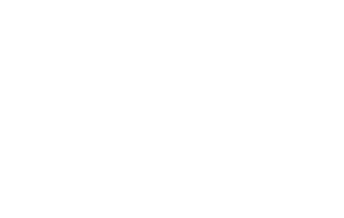Cobra CX65 | High-Performance 65cc Motocross Bike
